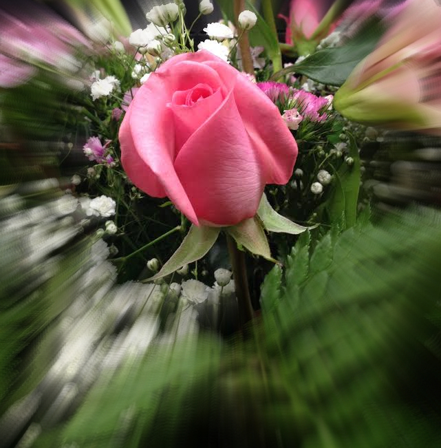 Appleberry Photography