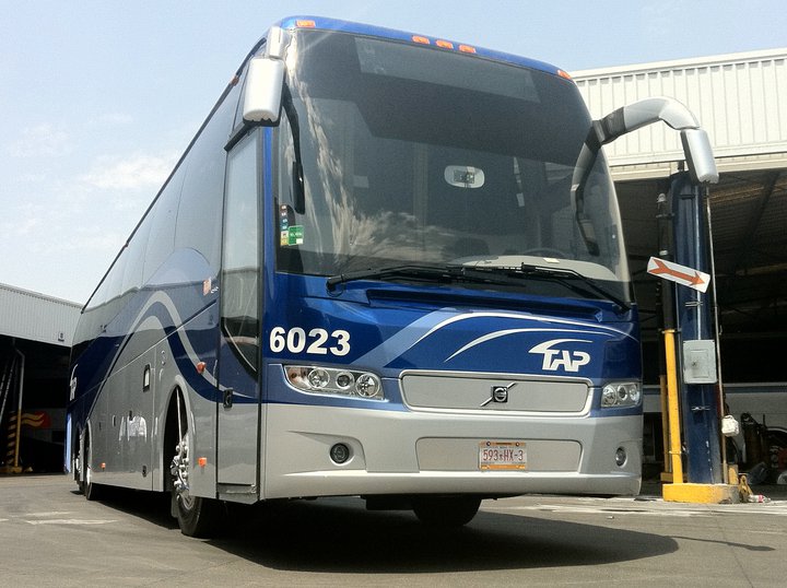 Transportes Publicos: Nuevos Autobuses TAP