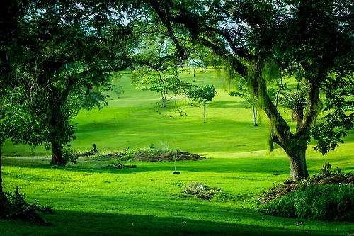 Kids friendly activities in Central and South Trinidad: Palmiste Park