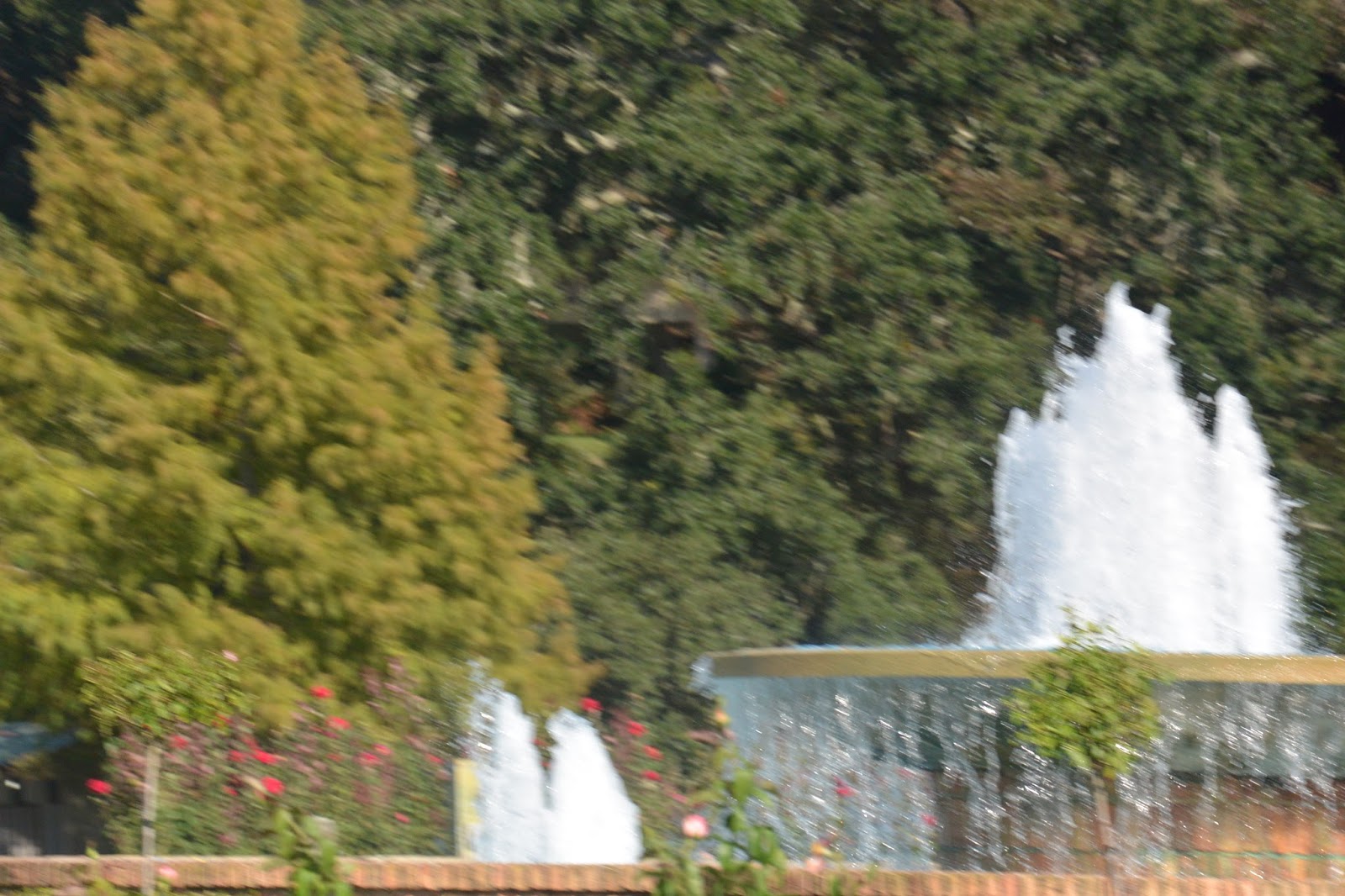 Cruising with Camelot: November 2015