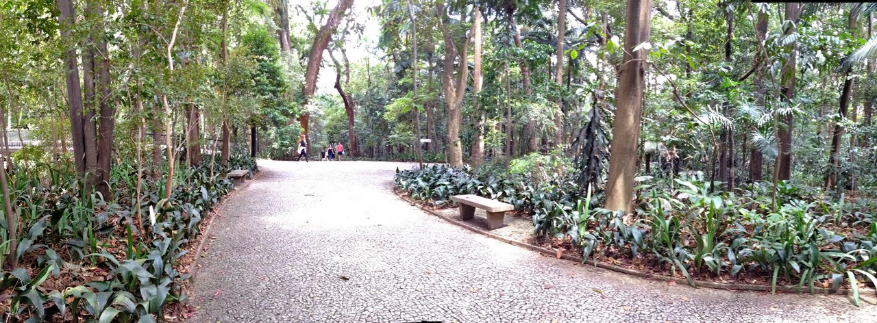 Parque Trianon ou Tenente Siqueira Campos em São Paulo ~ Áreas Verdes ...