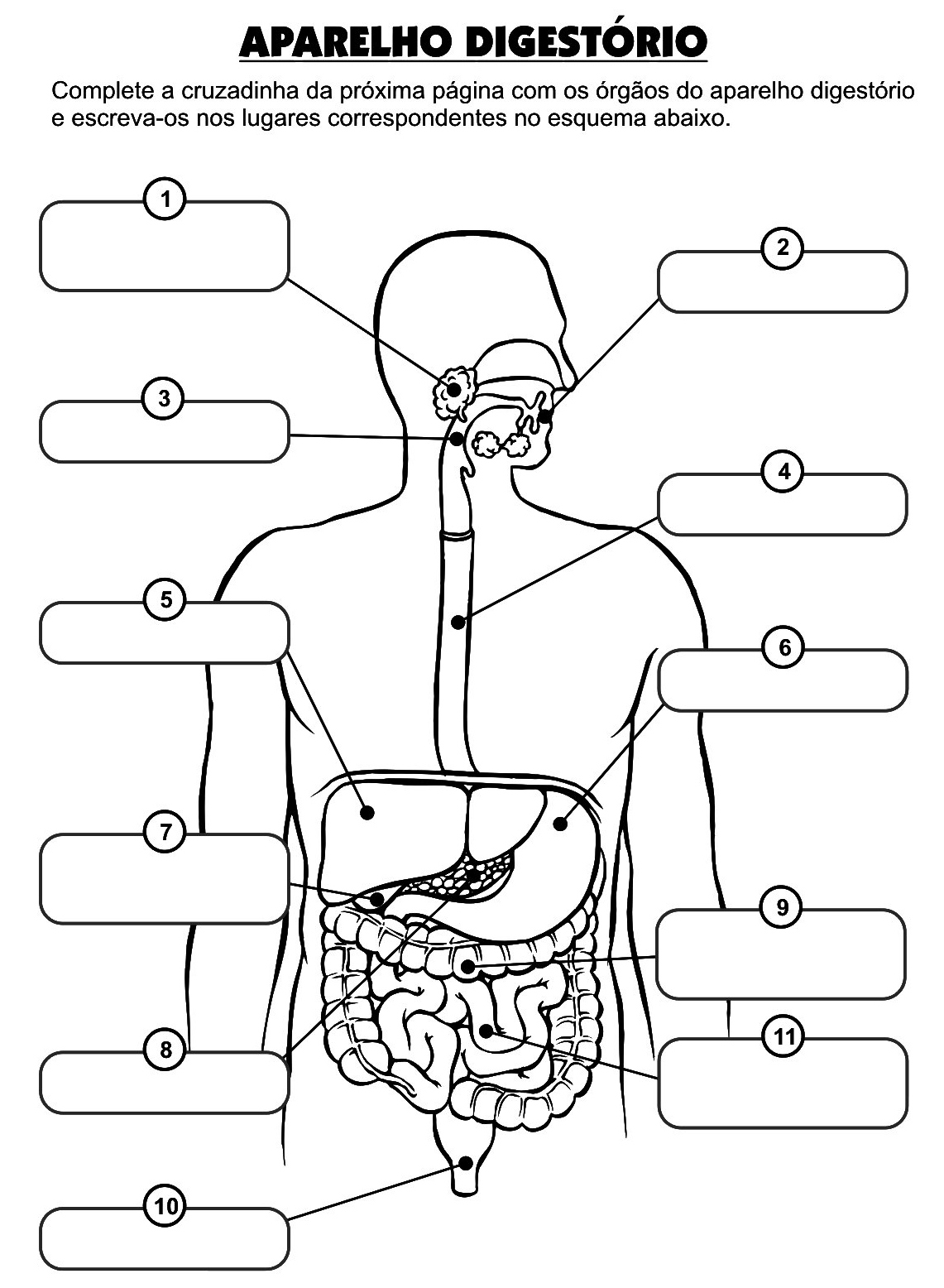 Atividade De Ciências Sobre O Corpo Humano - NAZAEDU