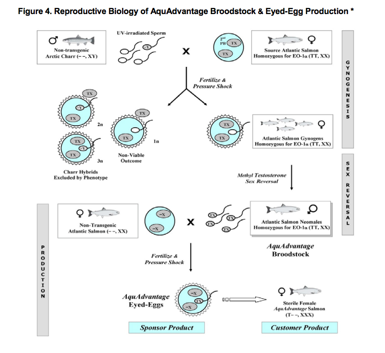 From the Rivers: Life as a fisheries biologist