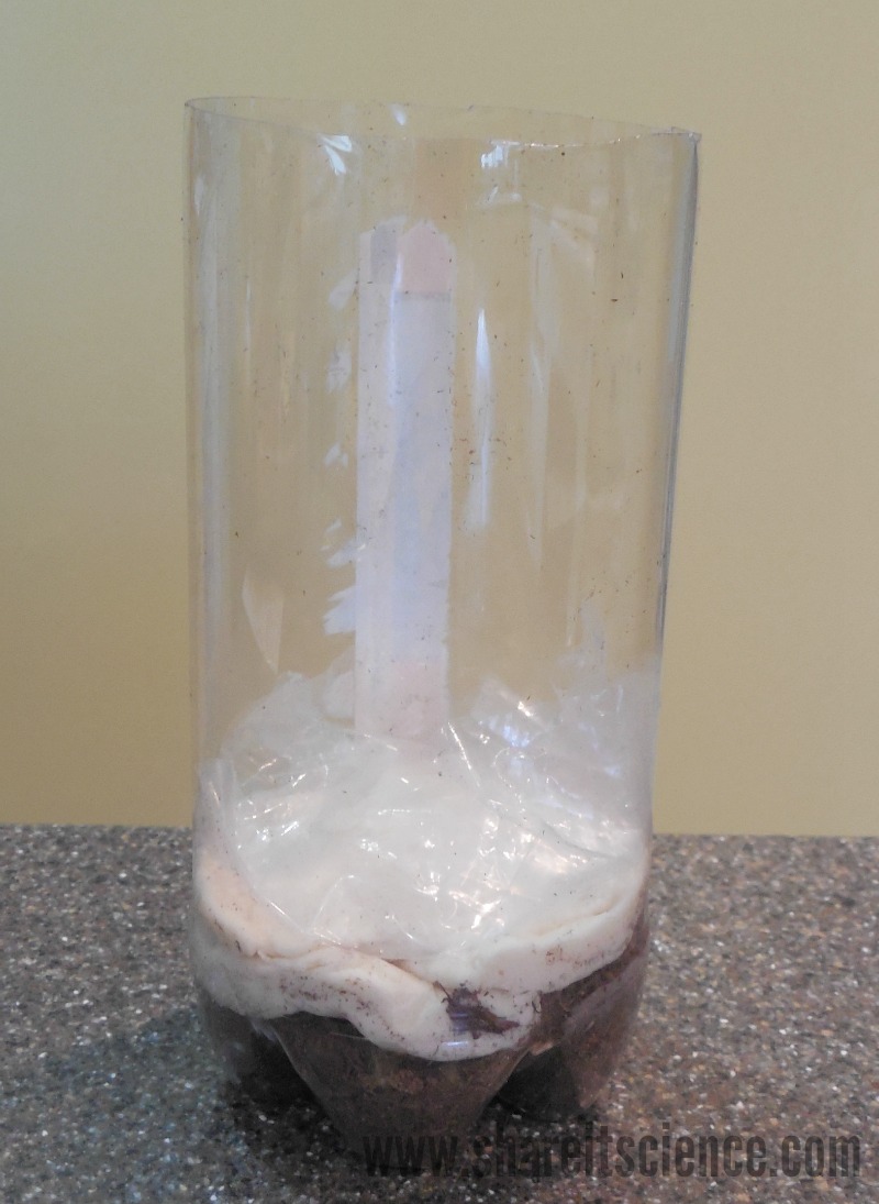 Share it! Science : "Here Comes the Garbage Barge" inspired Landfill Model