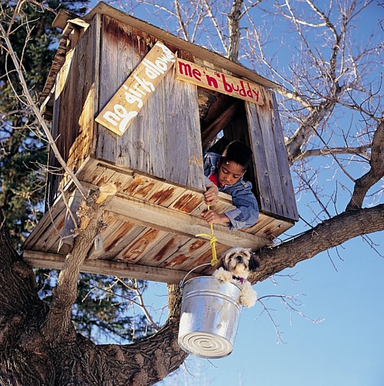 Art Now and Then: Treehouse Architecture