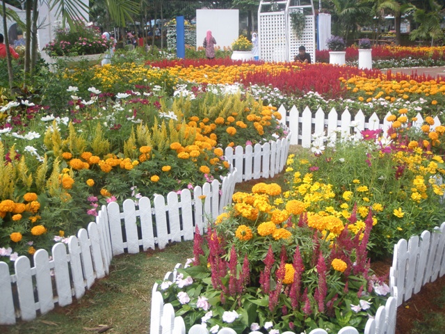 TRAVELOG: PERTUNJUKAN BUNGA & TAMAN PUTRAJAYA (FLORIA) ; Saksikan ...