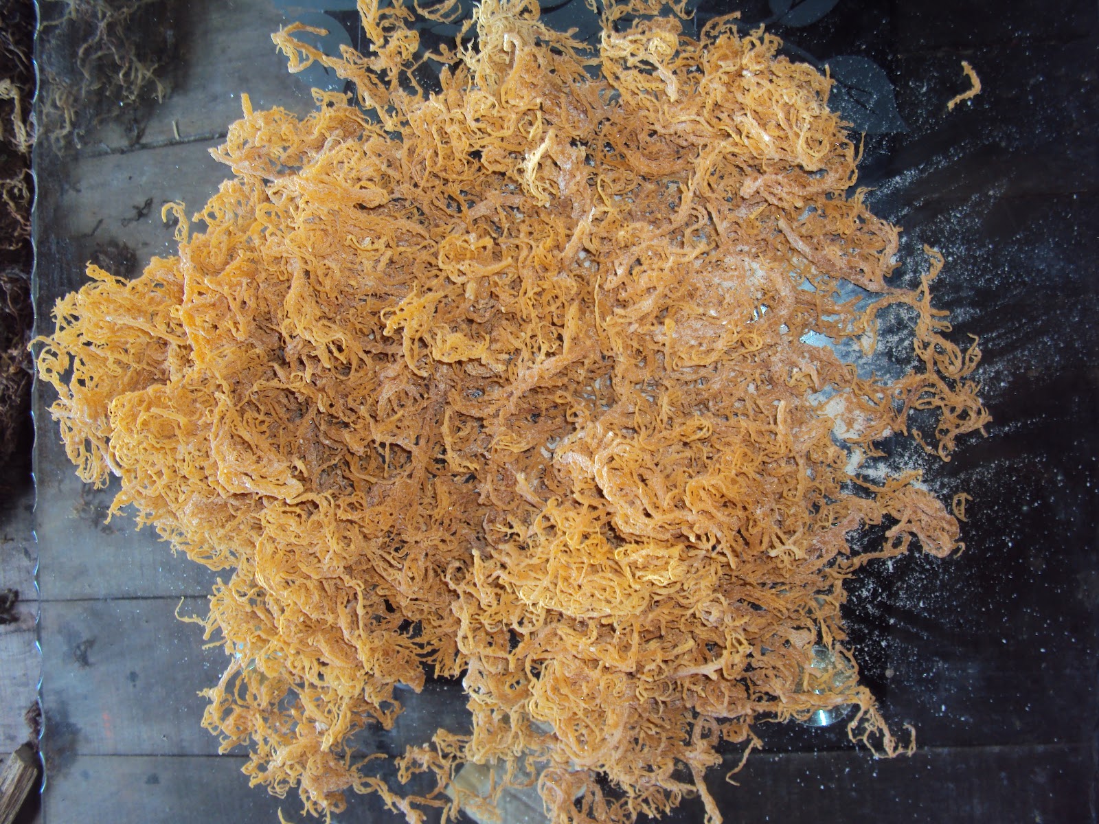 Semporna, Sabah: SEAWEED PROCESS