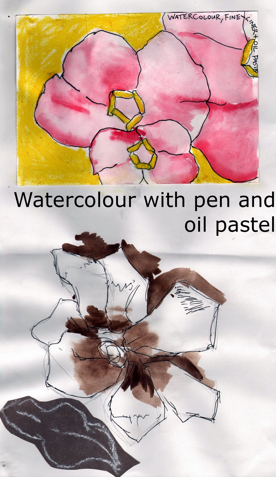 Art From School of Calactus: Natural form mixed-media