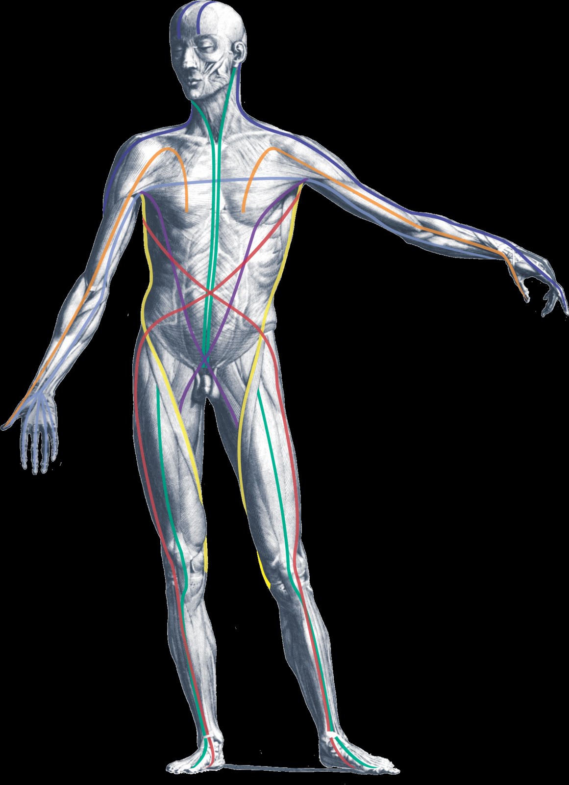 SOUTH CONGRESS ATHLETIC CLUB