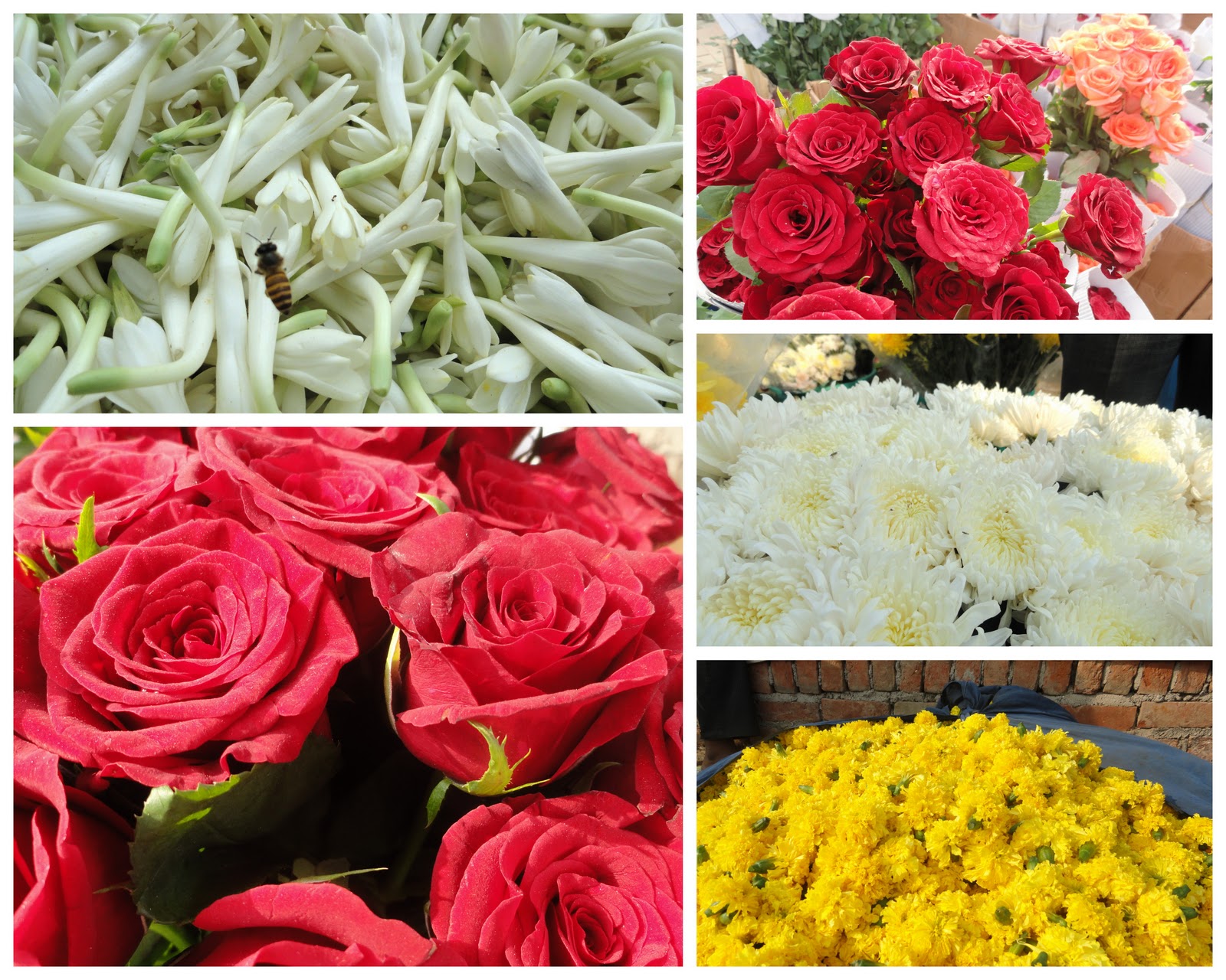 goldwynism: At the Ghazipur phool mandi