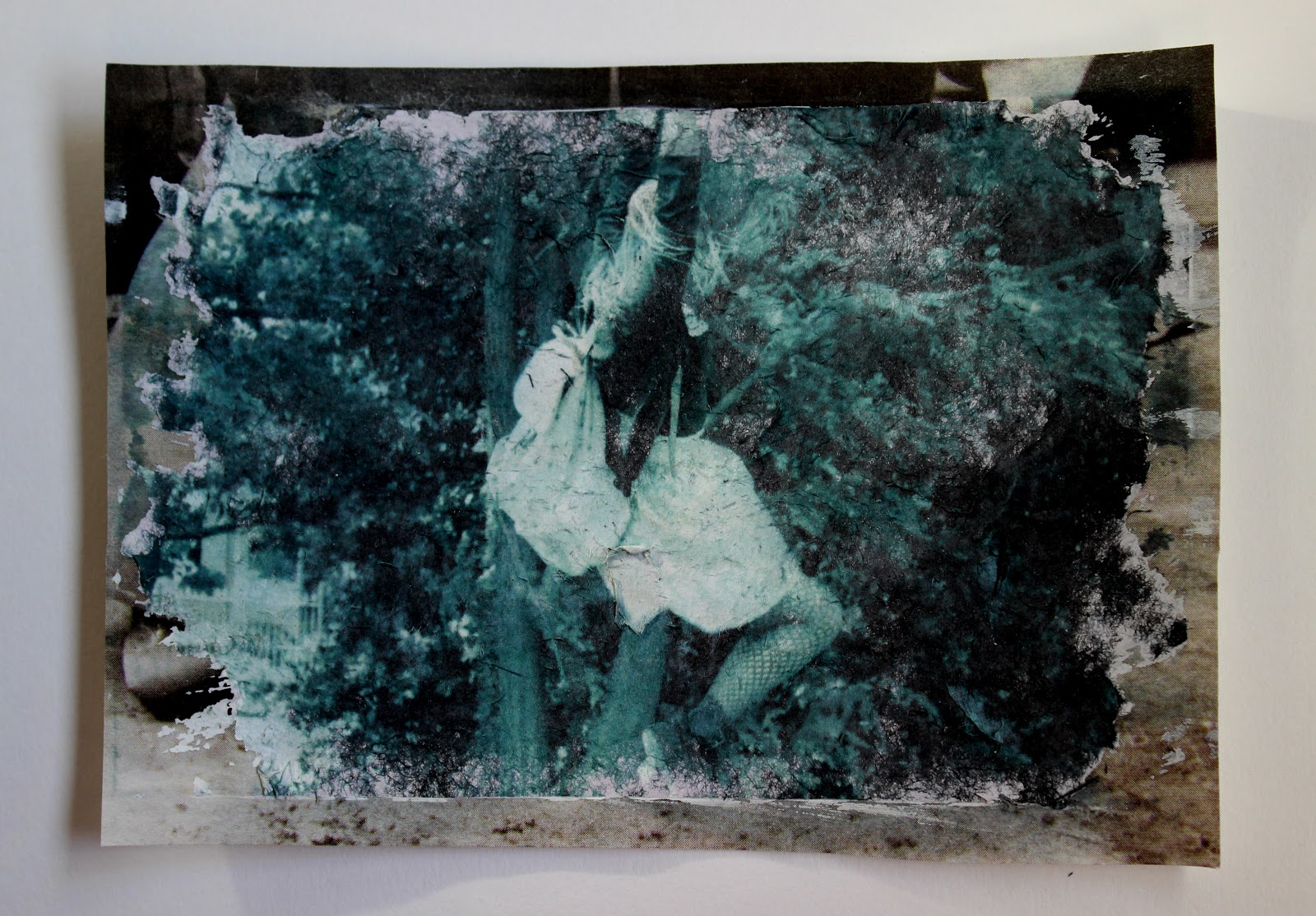 Emily's Photography Blog: Emulsion Transfers