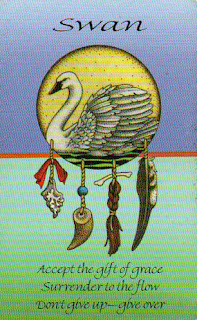 The Cheeky Witch Oracle