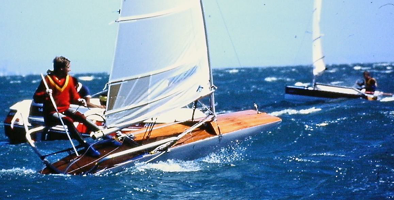 Earwigoagin: Header Photos: Scow Moth, Largs Bay 1986
