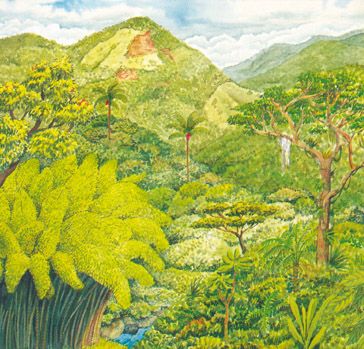 características del clima templado