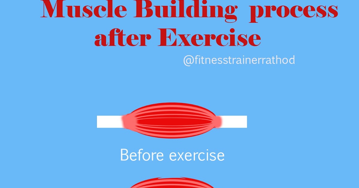 Muscle Building Process After Exercise