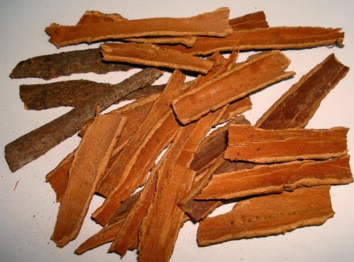 Facts Fun: BENEFITS OF CINNAMON