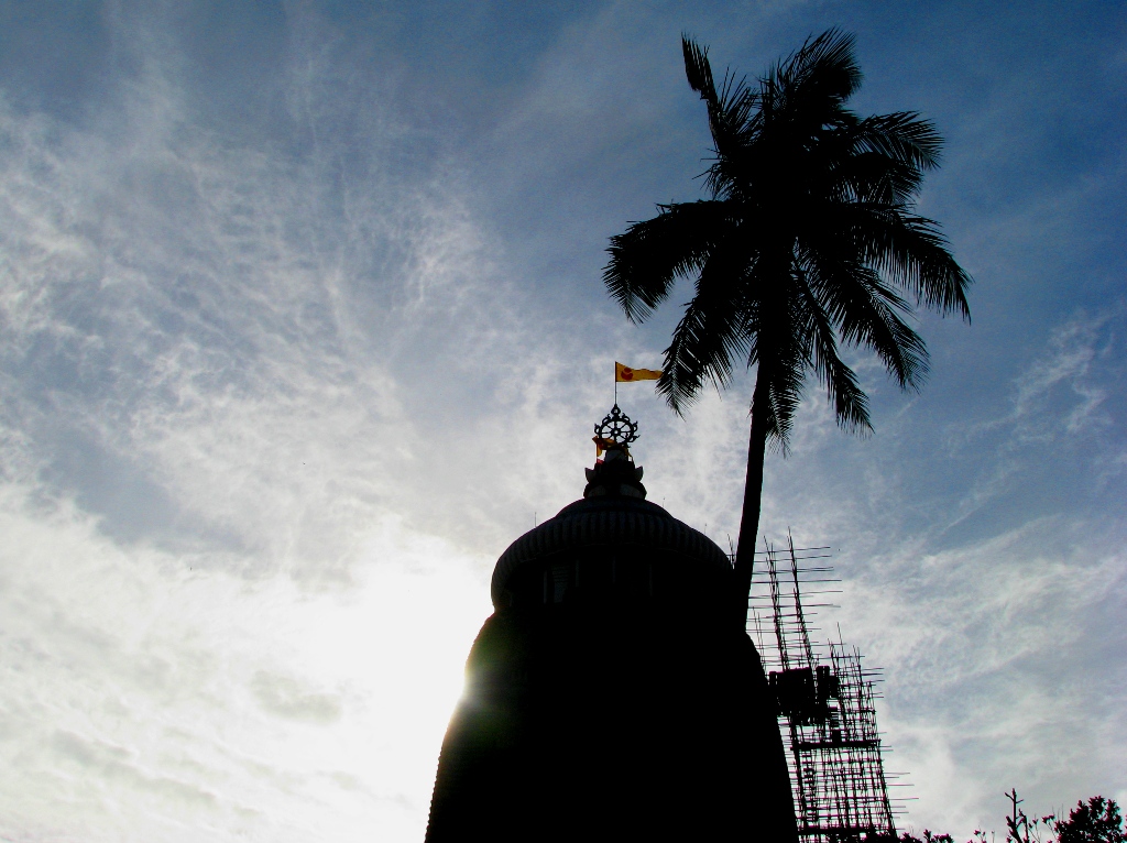 Shadow Dancing with Mind: 16th Edition of Shadow Dancing with Mind