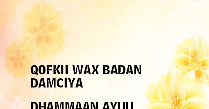 Sheeko Xikmad + Qosol Leh! | Xikmado