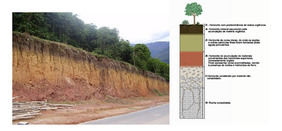 Estudo das propriedades do solo: Perfil do solo: horizontes