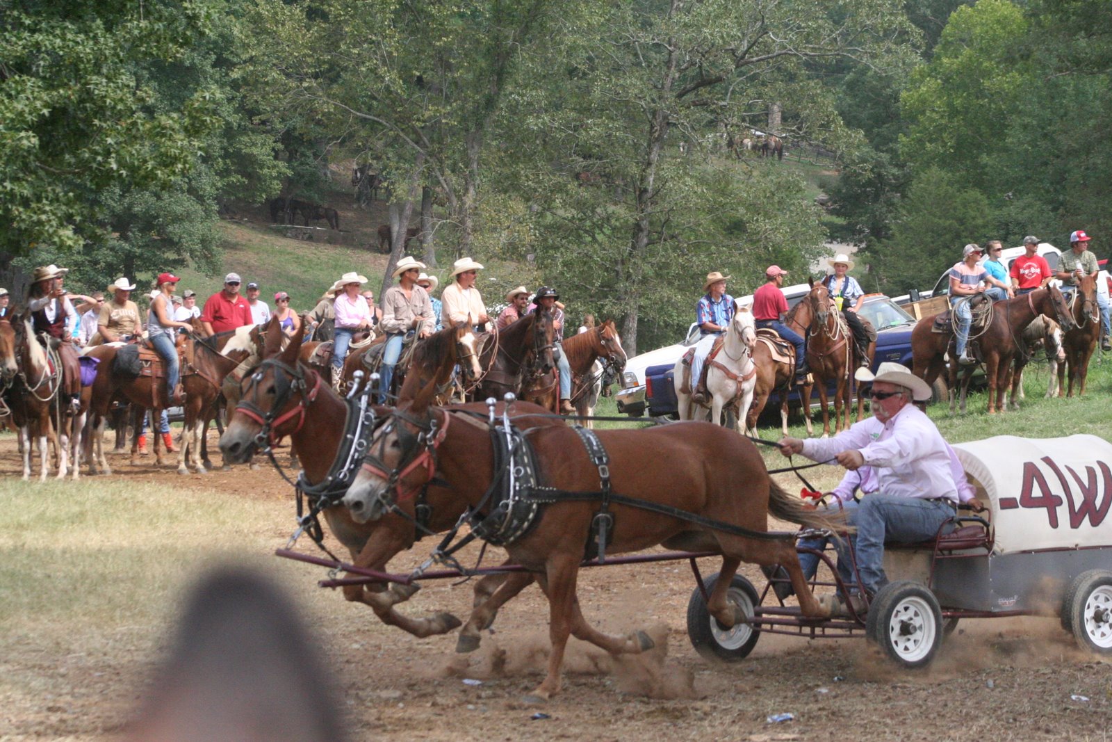 PairADice Mules: Big Mule Race Saturday