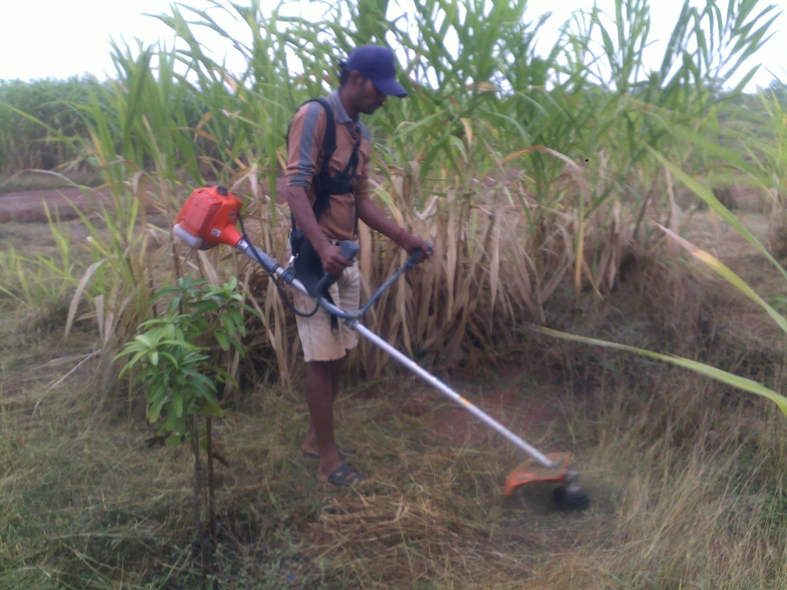 Techie2Aggie: Deweeding by Brush cutter