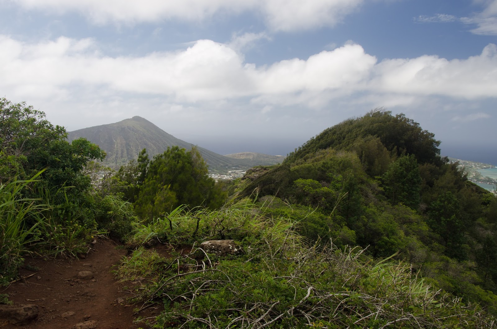 Haole Hiking: Mariner's Ridge:The Adventures of Staley the Dog