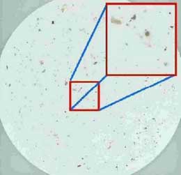 Chemical Chase Impressions: How to control Stickies and pitchy on paper ...