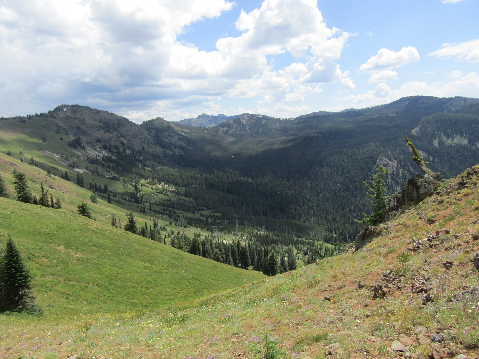 Holly's Horse Tales and Trails: Moss Springs and North Fork John Day ...