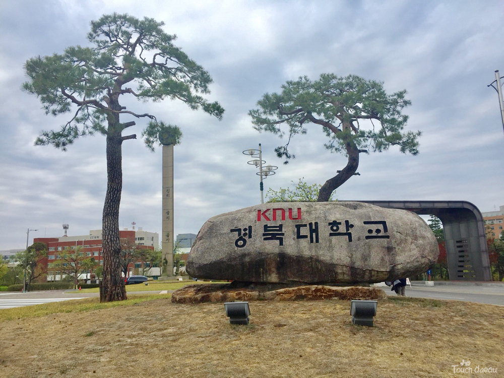 Spring Campus in Korea| Kyungpook University in Daegu (Enjoy Spring ...