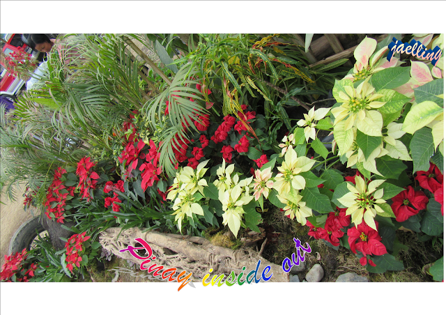 Booth of Sablan, Benguet - Adivay 2015