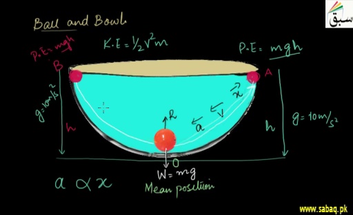 HostGator Hosting: Motion of a ball and bowl system:
