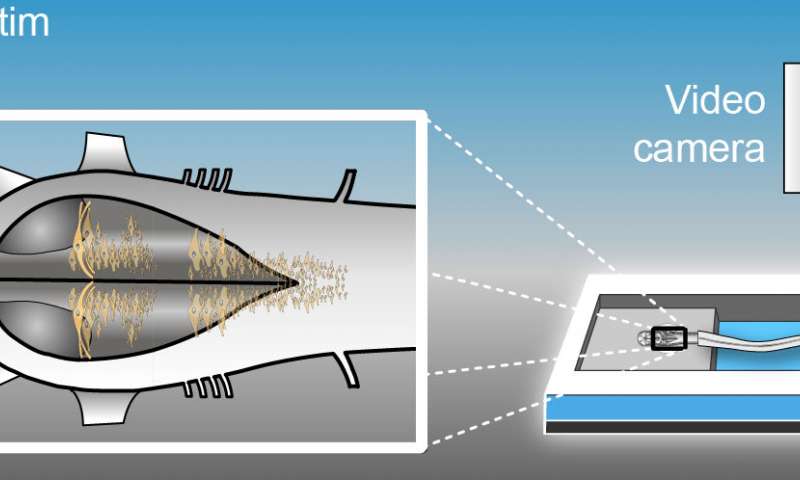Our Parkinson's Place: Controlling movement like a dimmer switch