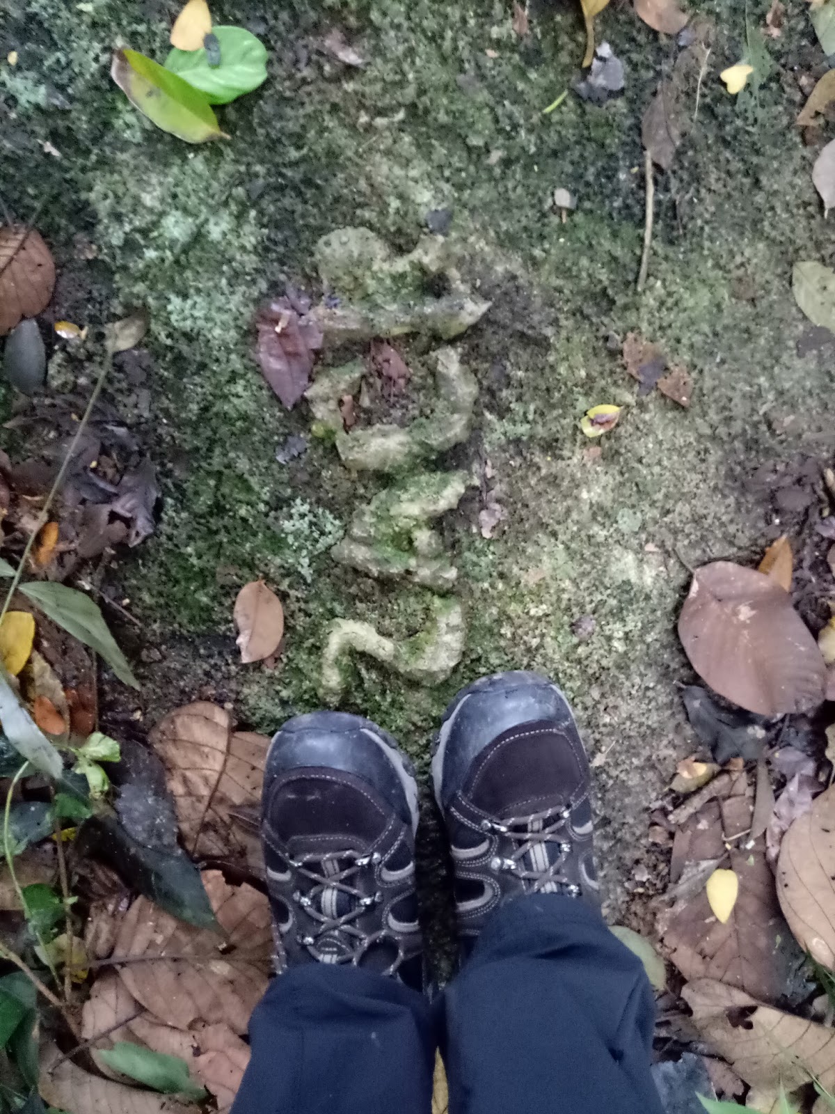 Bukit Marak, Kelantan