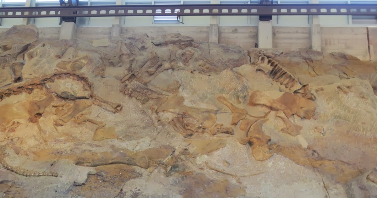 The Travelling Lindfields: Of Dinosaurs, Petroglyphs and Pictographs