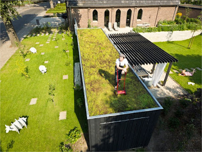 Boc: Shipping Container Home With Roof Deck