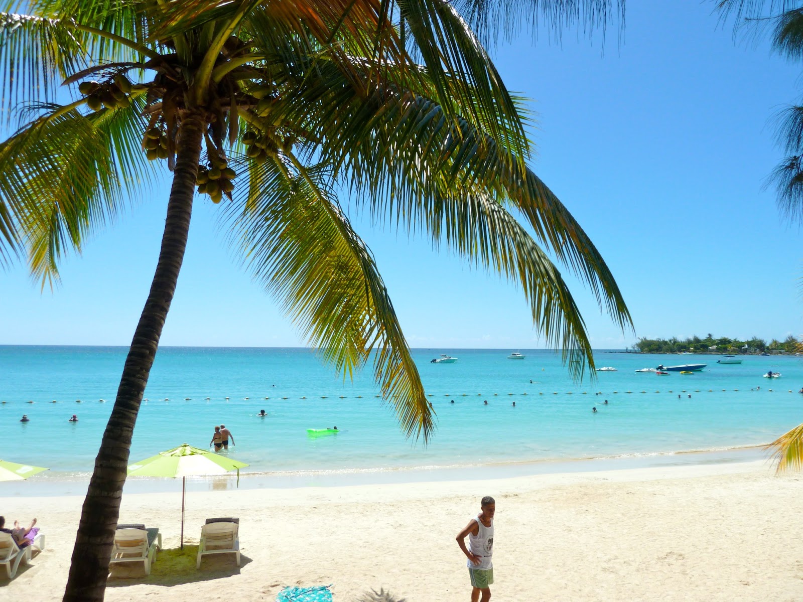 Beautiful Mauritius Beach | Top Pictures