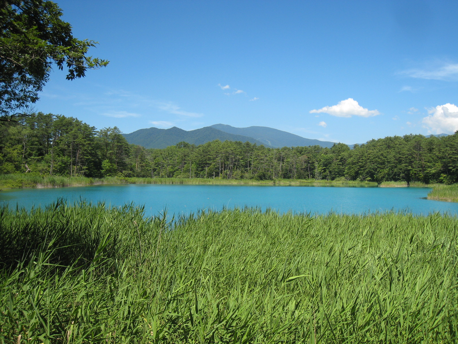 Visit Japan, Travel Japan, Discover Japan: Hiking Through Goshiki-Numa ...