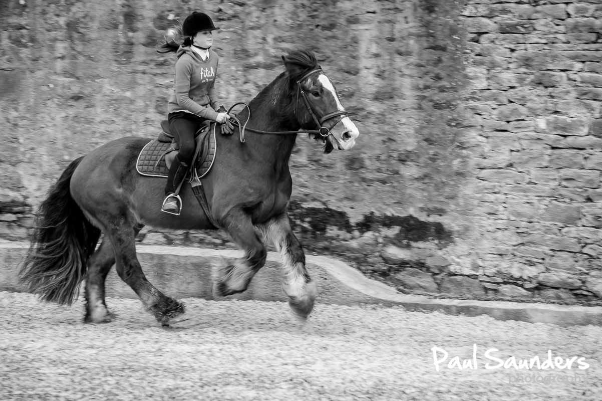 Paul Saunders Portrait Photography Blog: Horse Riding Photography Session