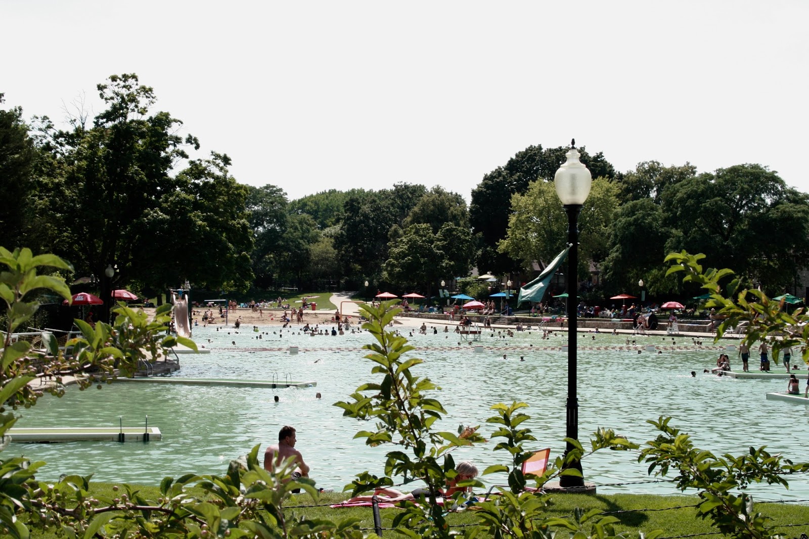 Amy's Creative Pursuits: Naperville Illinois: The Perfect Mix Of City ...