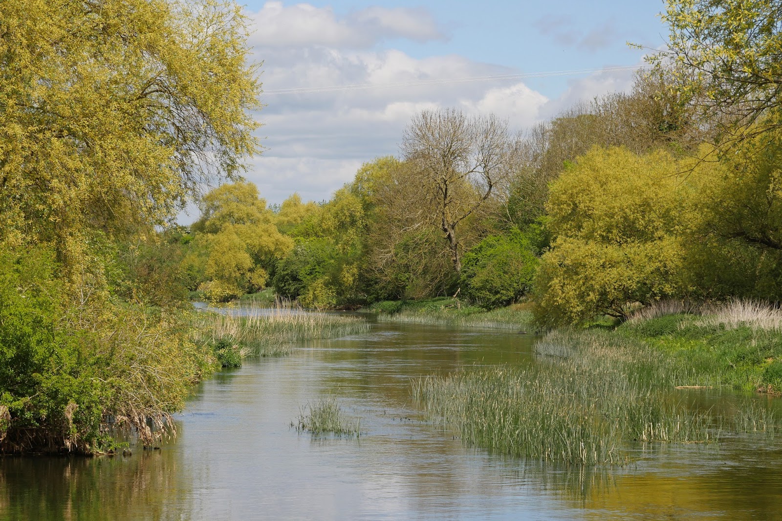 Walking in the country: Olney, Clifton Reynes and Emberton