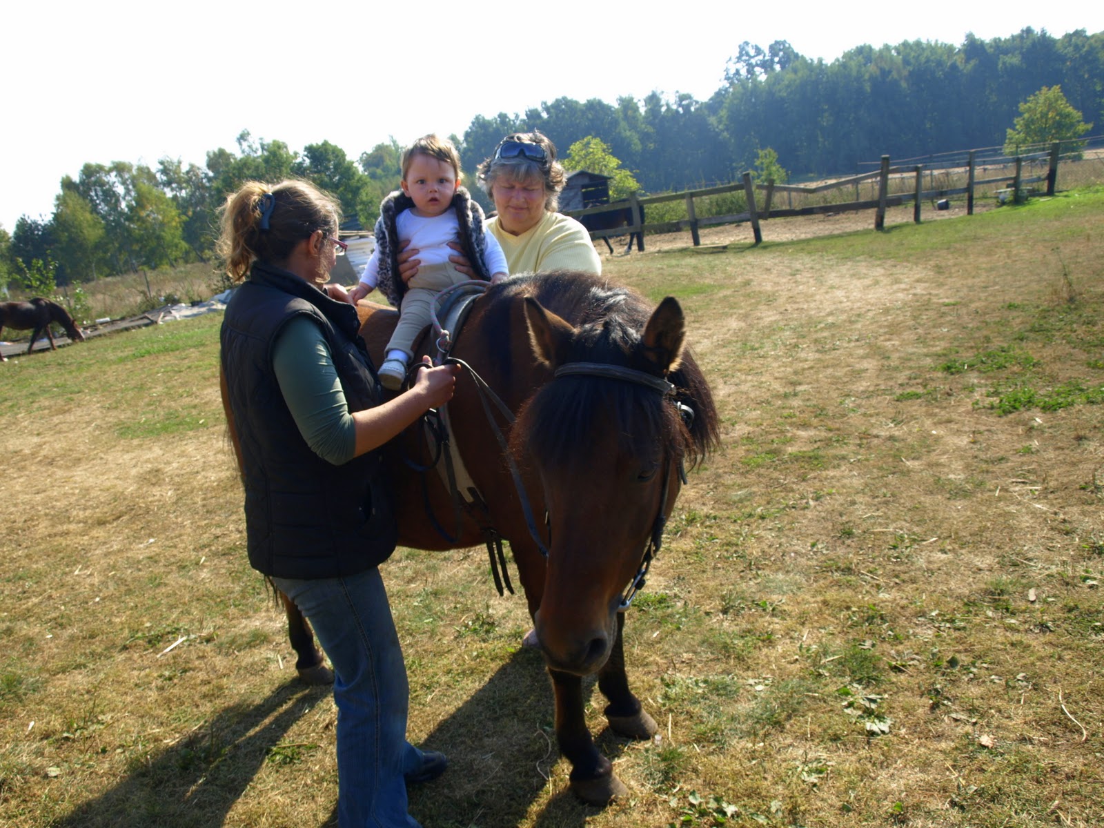 Epi of Daf: Hippotherapy as new way of body and sensory exercises for Daf