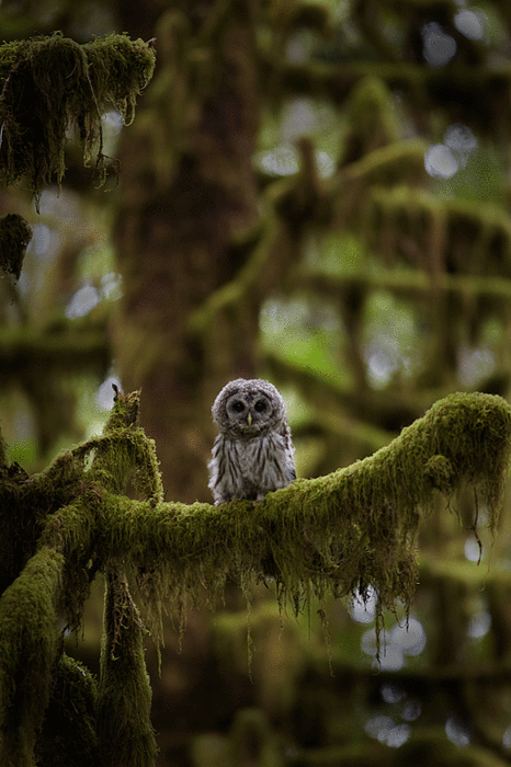 *itKuPiLLi* ~ iNSpiRatiOnS: tRaiLiNg dOwN