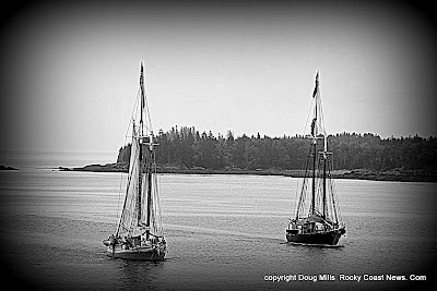 The MaineSail Magazine