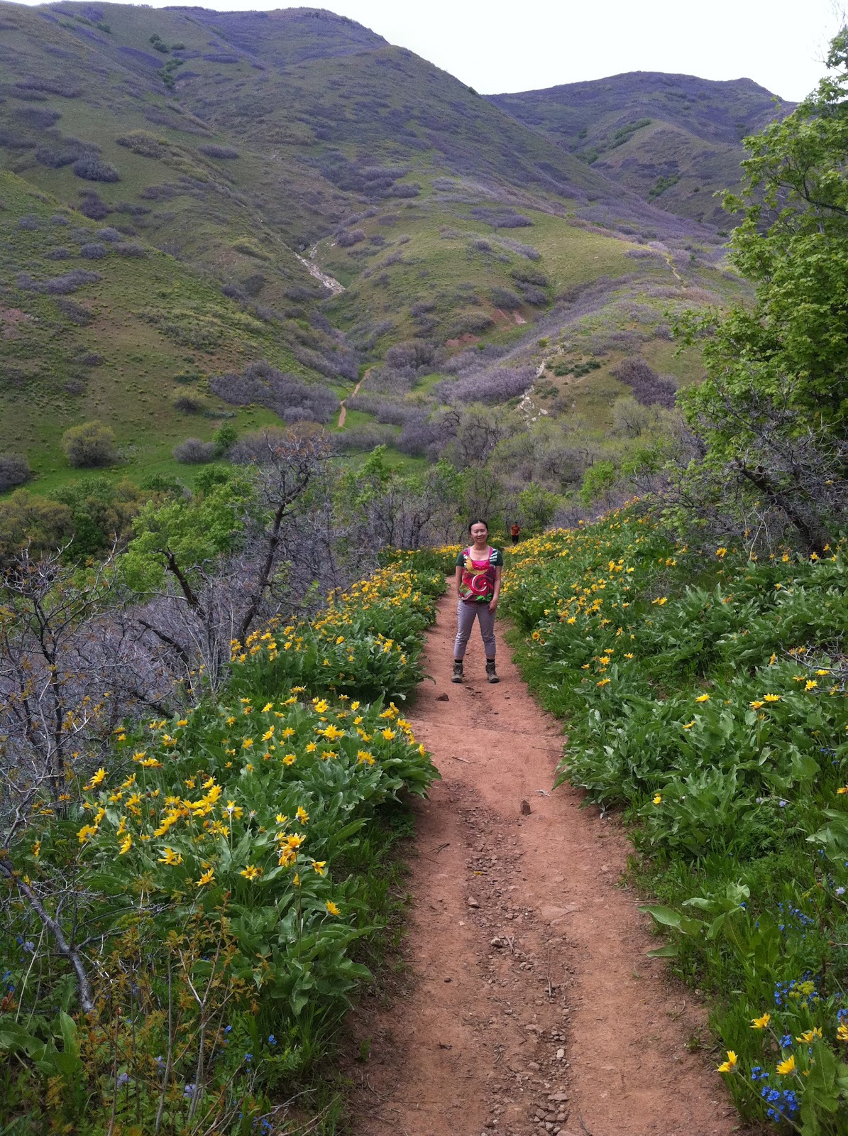 Jumpy Shell: Shoreline Trail Around Red Butte Canyon