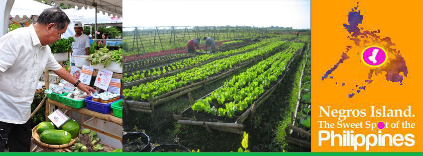 Negros Island Region Leads The Way In Successful Organic Farming ...