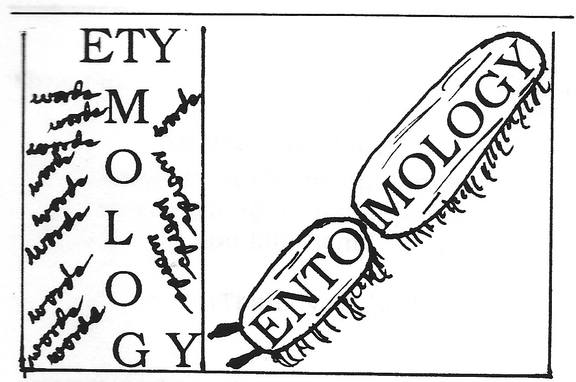 Living with Language: Cartooned "Etymology" / "Entomology"