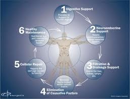 Living A Whole Life: BioEnergetic Assessment