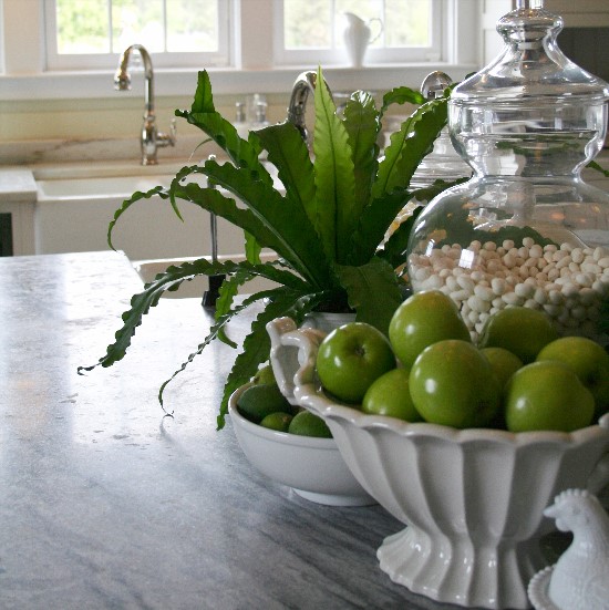 The Rainforest Garden: A Tour of P. Allen Smith's Home