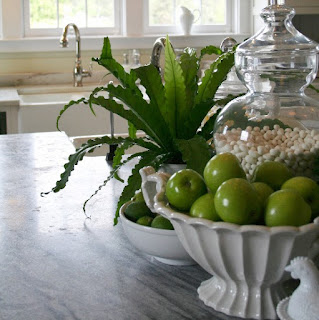 The Rainforest Garden: A Tour of P. Allen Smith's Home