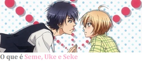Yaoi, Yuri : O que é Seme, Uke e Seke? No yaoi